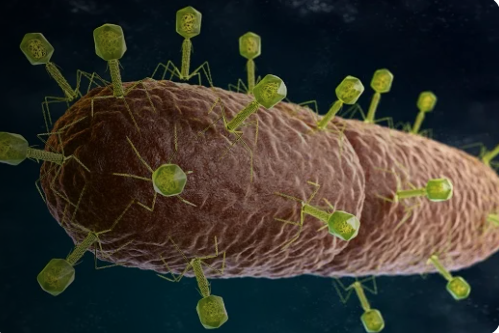 GIRSA participa en proyecto que pretende impulsar la biodegradación de ...